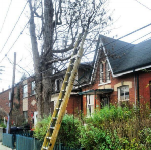 Spot The Safety Violation: Ladders & Power Lines Are a Bad Combination ...