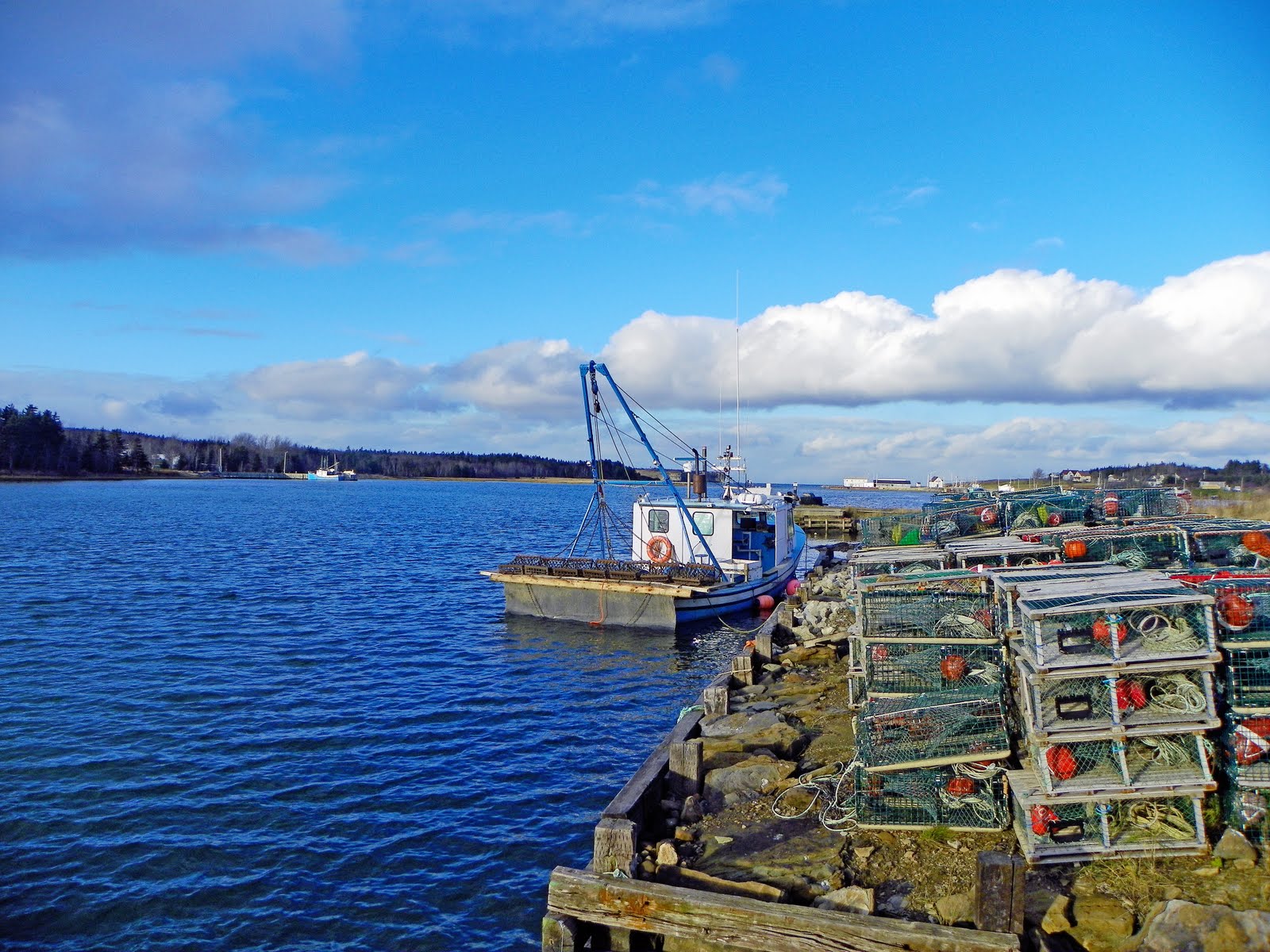 Ferry Manager Accosted Safety Officer Investigating Bulldozer Incident ...